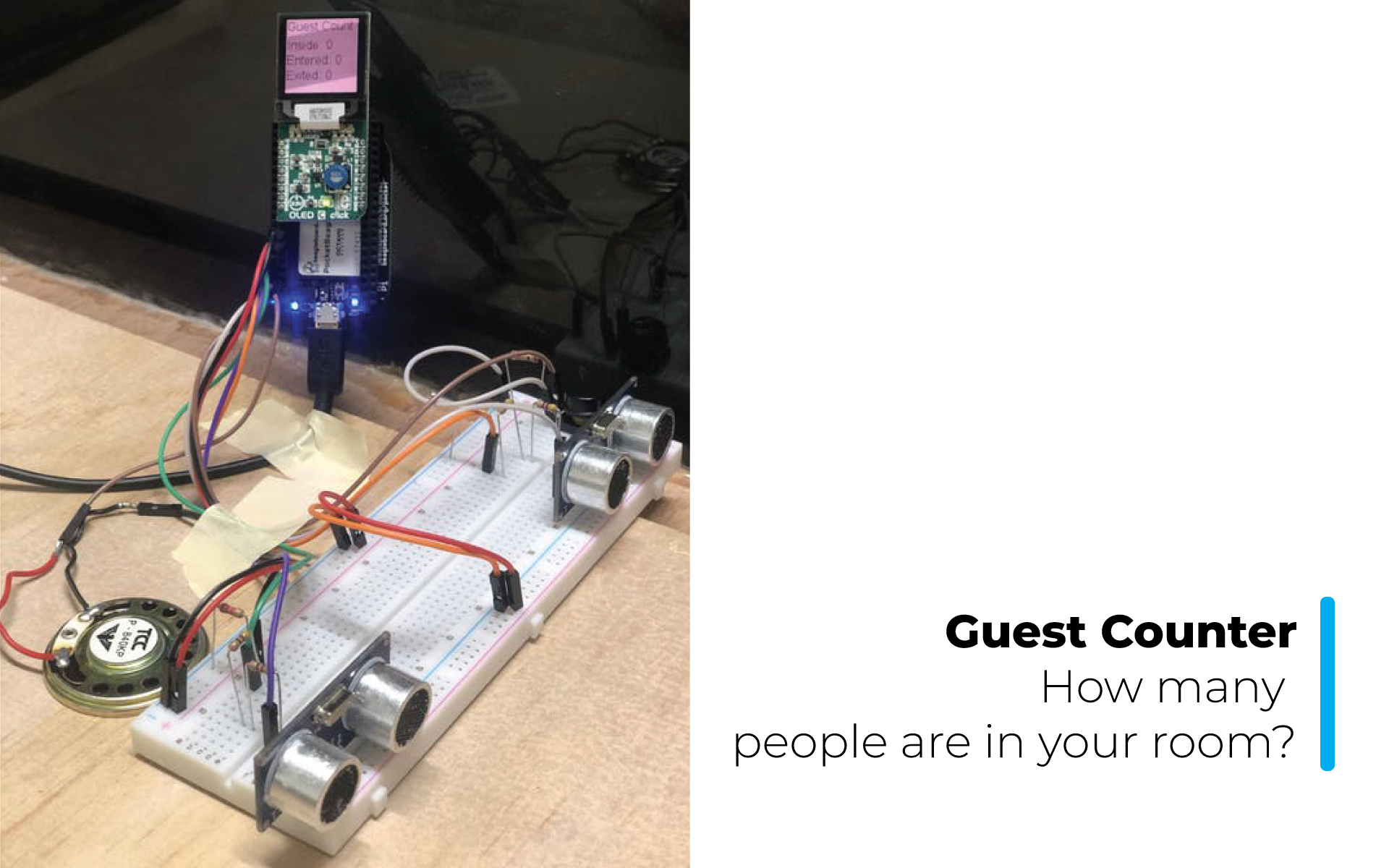 Guest Counter | Mikroe Blog