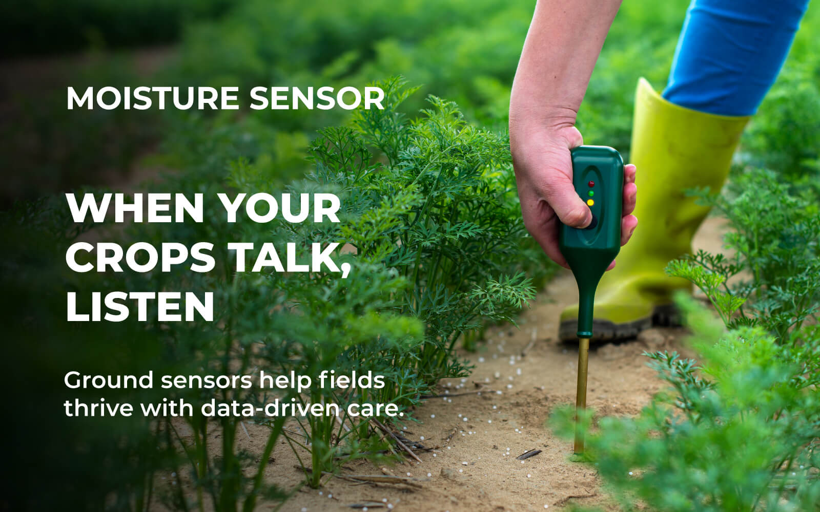 How Ground Moisture Sensors Improve Agriculture
